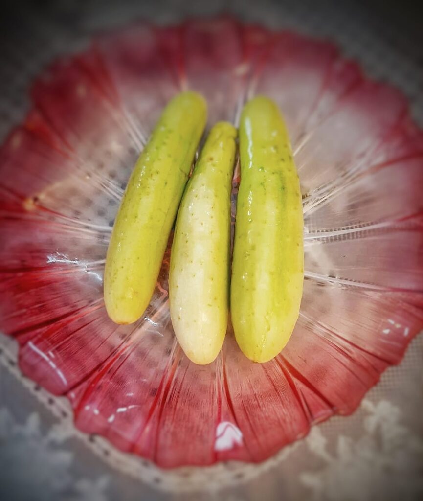 Monsoon vegetables of Goa - MeghaBlogs